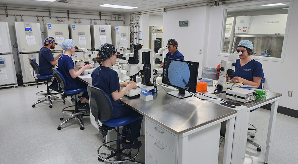 Quality control - Vitrolife