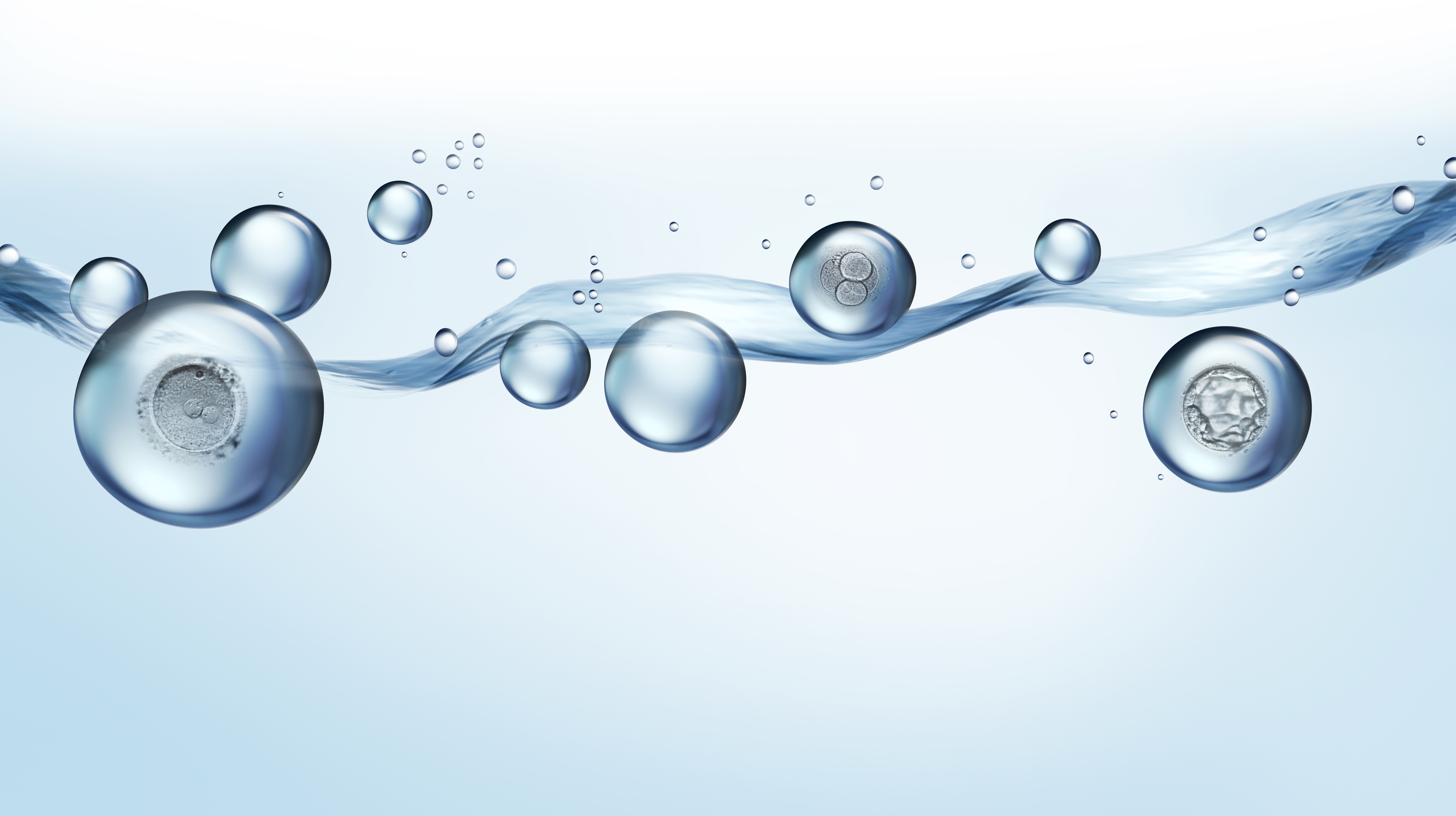 Welcome to Vitrolife - Vitrolife