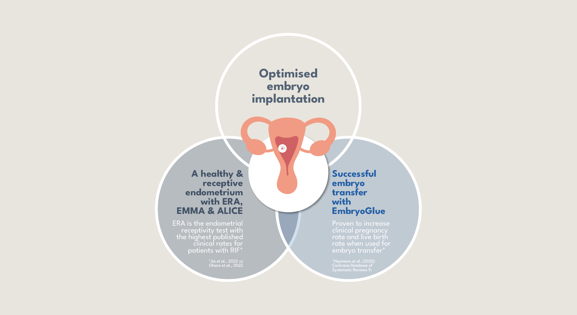Optimised implantation with EmbryoGlue and ERA - Vitrolife