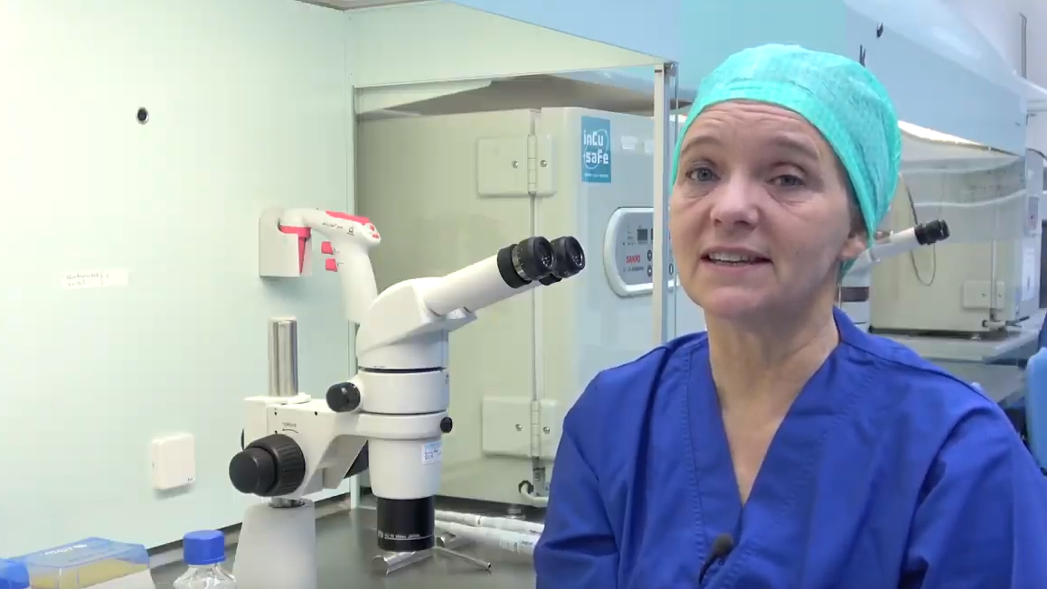 Time-lapse - Vitrolife