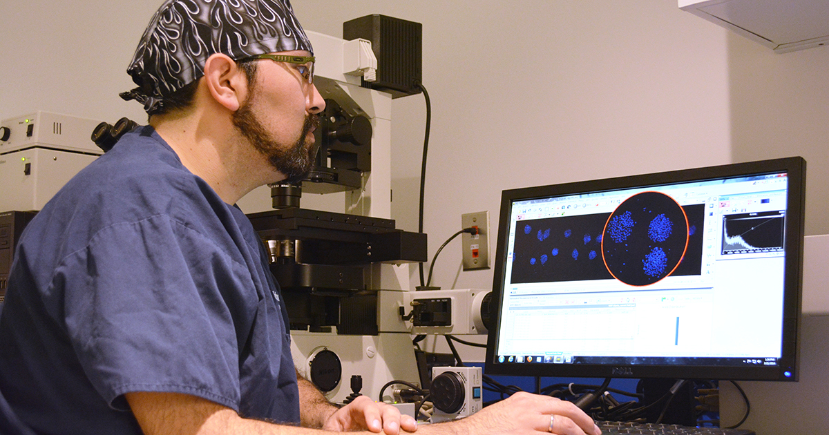 Mouse Embryo Assay - Vitrolife