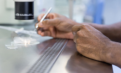 Ultra RapidWarm™ Blast - Vitrolife