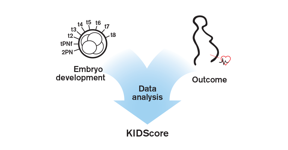 Embryo decision support tools - Vitrolife
